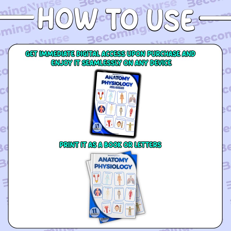 Ultimate Anatomy Learning Bundle – Digital Anatomy Course, Flashcards ...