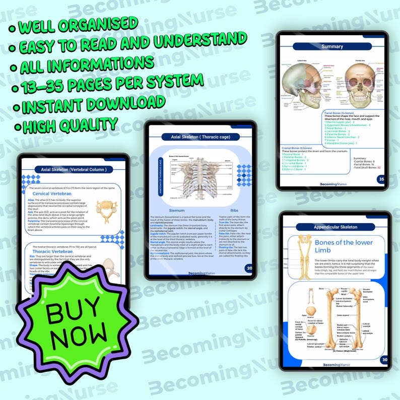 Ultimate Anatomy Learning Bundle – Digital Anatomy Course, Flashcards ...