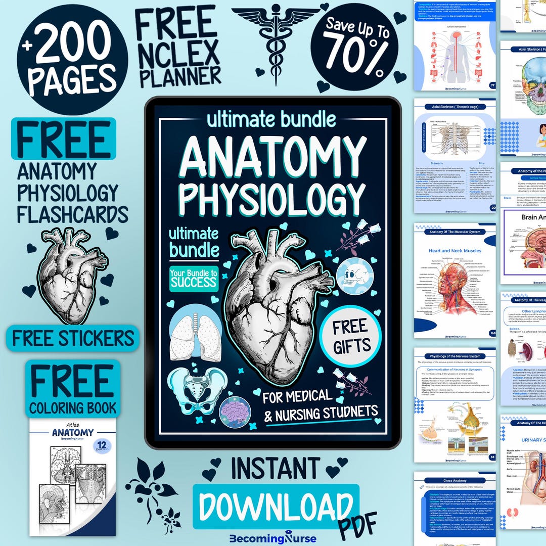 Ultimate Anatomy Learning Bundle – Digital Anatomy Course, Flashcards ...