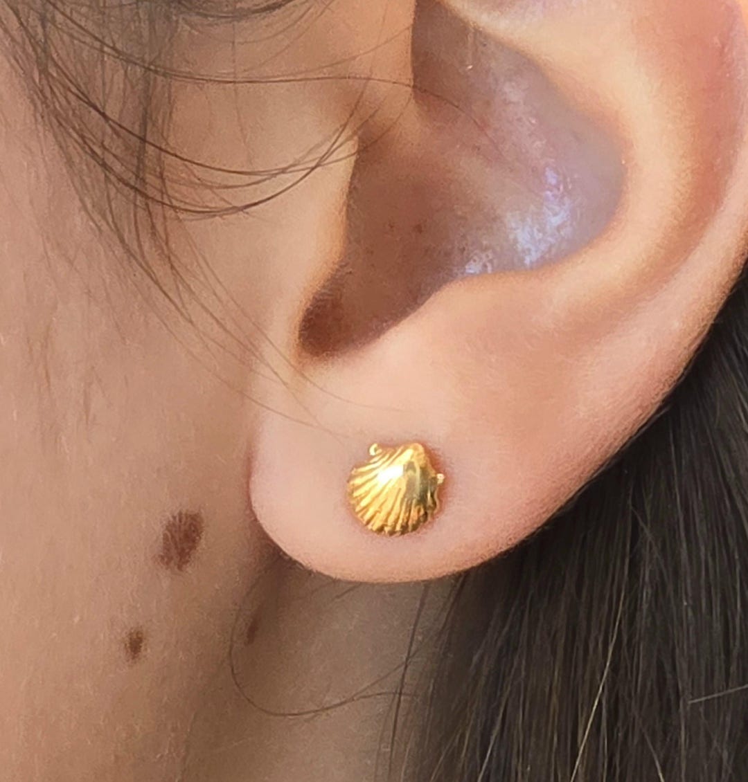 14k Gold Shell Stud Earrings, Solid Gold Shell Stud Earrings - Etsy