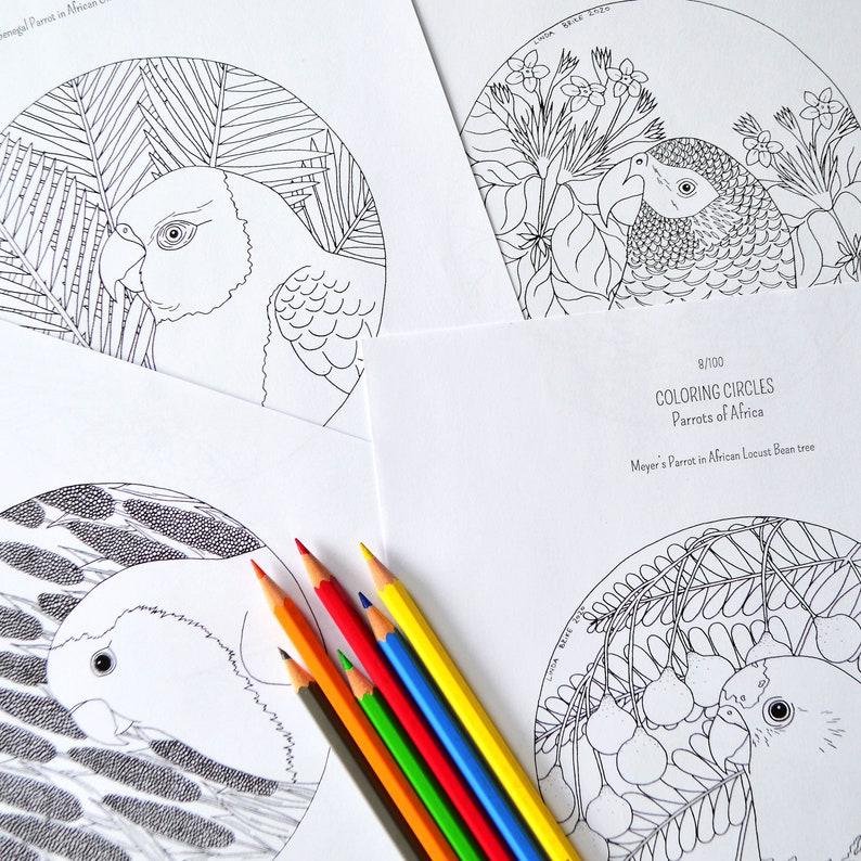 COLORING PAGES Parrots of Africa Instant Download PDF File - Etsy
