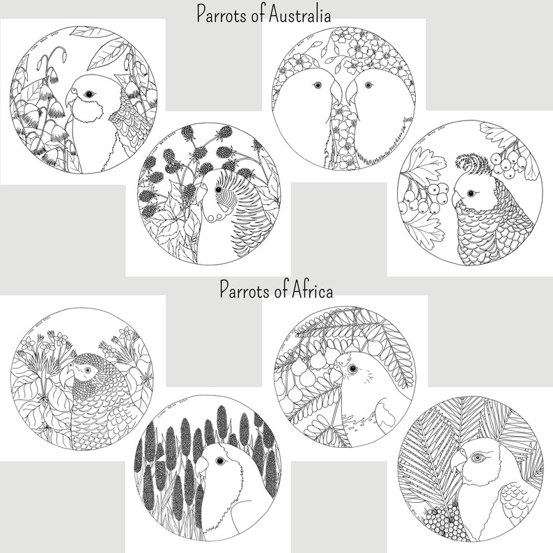 COLORING PAGES Parrots of Africa Instant Download PDF File - Etsy