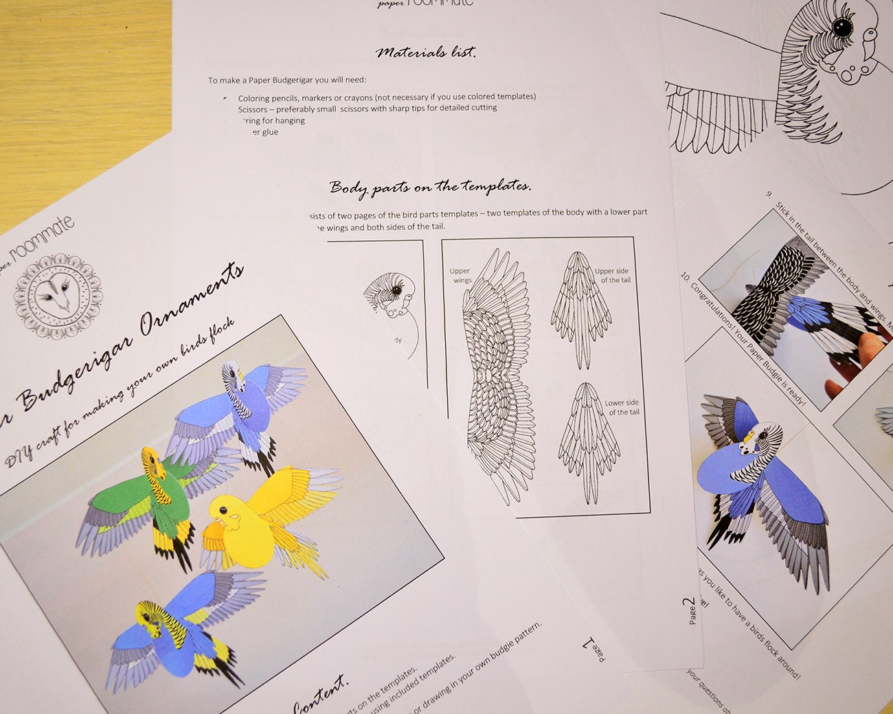 DIY Paper Budgerigar Craft Instant Download PDF File / | Etsy