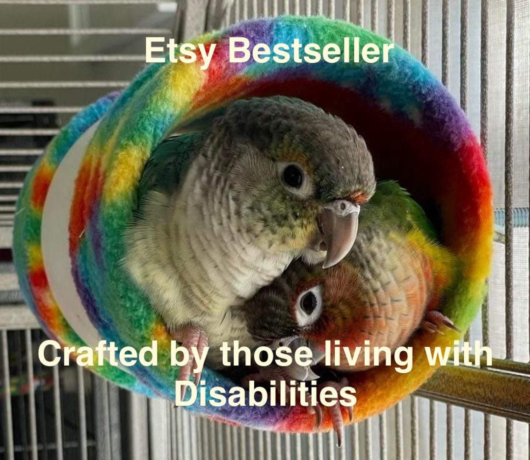The Original Conure Coop Tunnel/best Selling/safest/largest 4x8 Bird ...