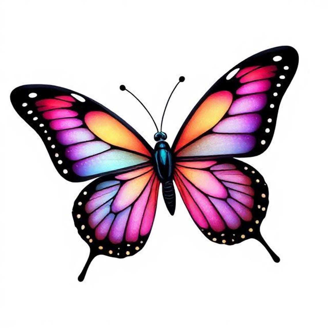 Butterfly, High Quality Jps, Digital Download, Clipart, 4 Pictures With ...