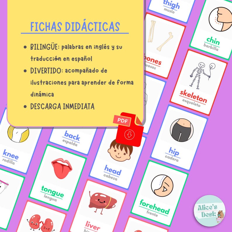 Tarjetas didácticas de inglés para niños, vocabulario del cuerpo humano ...