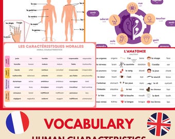 Flashcard French Vocabulary Notes Human Body and Characteristics - Etsy