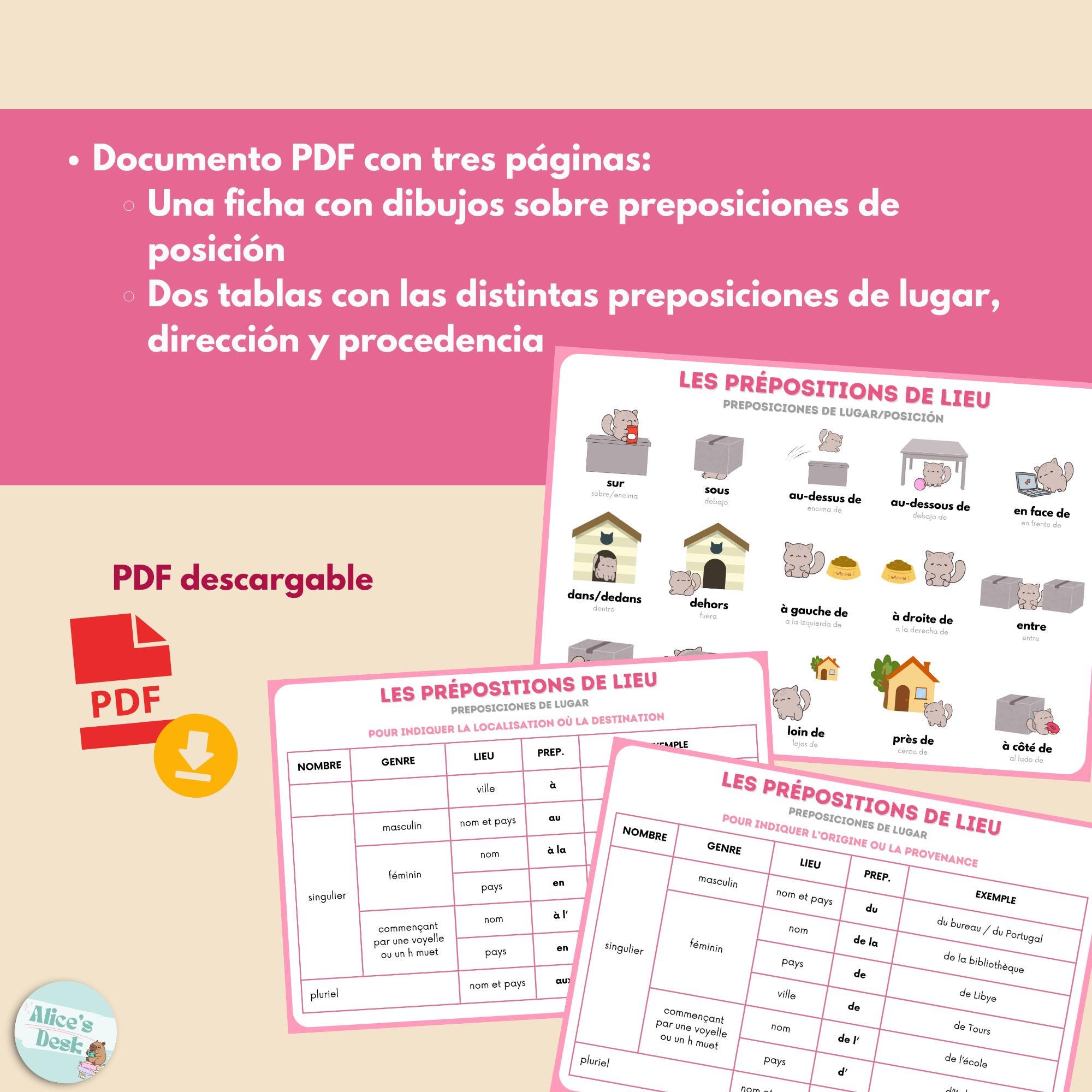 French Worksheet With Prepositions, Grammar Flashcards - Etsy