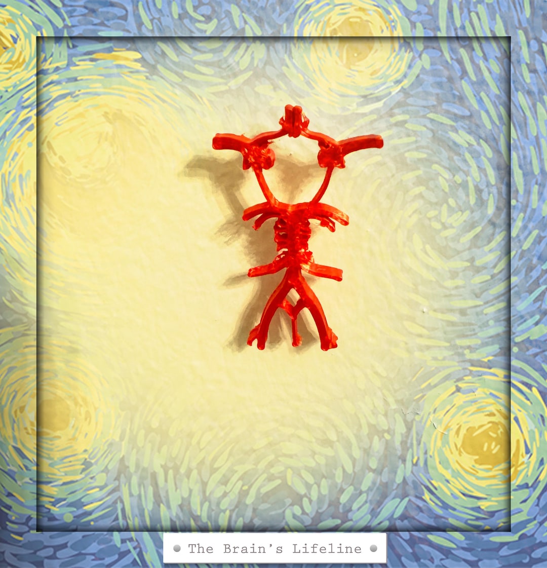 Circle of Willis, Cerebro Pin, Individually Made by Stroke Doc, the Brain’s Lifeline, Brain ...