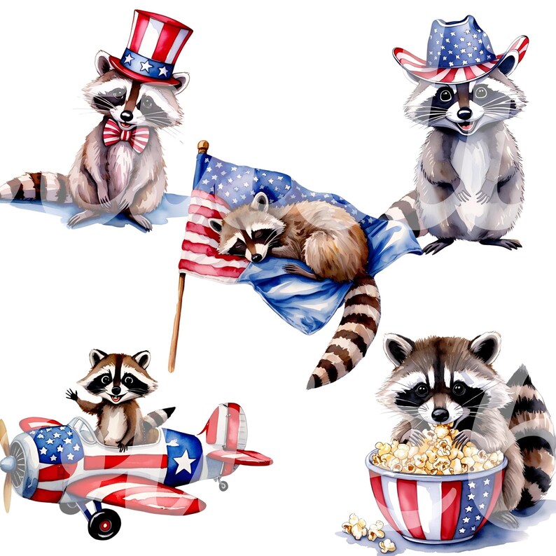 Patriotic Raccoon Clipart Bundle – 4th of July Graphics, American Flag ...