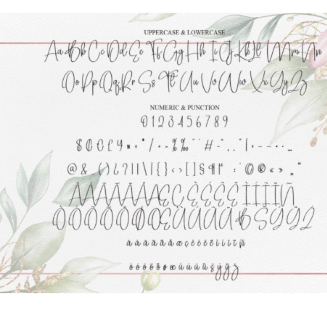 Signature Font, Modern Font, Calligraphy Font, Handwritten Font, Script ...