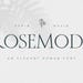 Roman Editorial and Aesthetic Script Font | Modern Font Pair | Modern ...