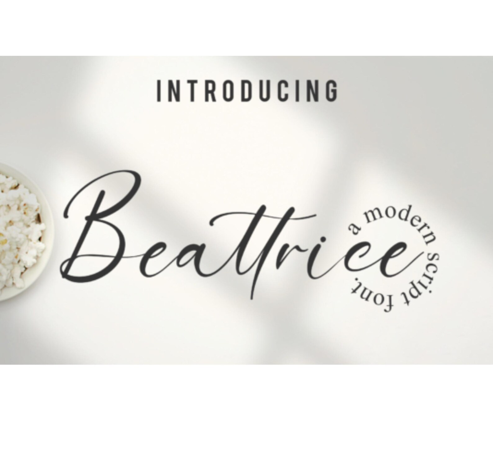 Beatrice Font, Minimalist Font, Cricut Fonts, Casual Font, Modern Font ...