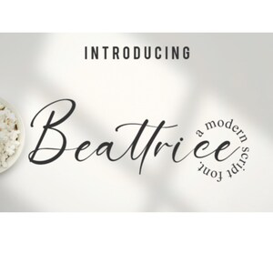 Beatrice Font, Minimalist Font, Cricut Fonts, Casual Font, Modern Font ...