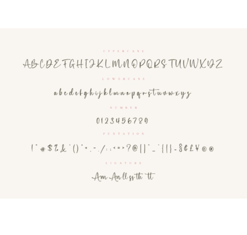 Amelia Font, Script Font, Handwritten Font, Wedding Font, Romantic Font ...