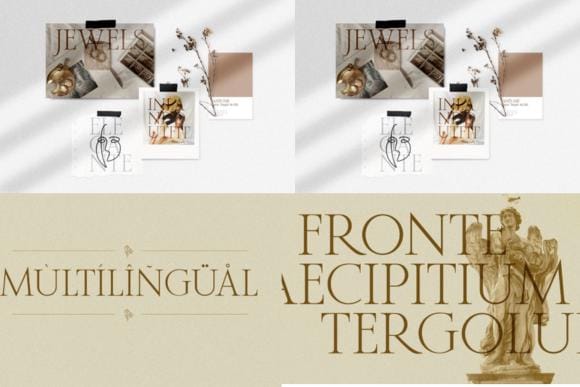 Roman Editorial and Aesthetic Script Font | Modern Font Pair | Modern ...