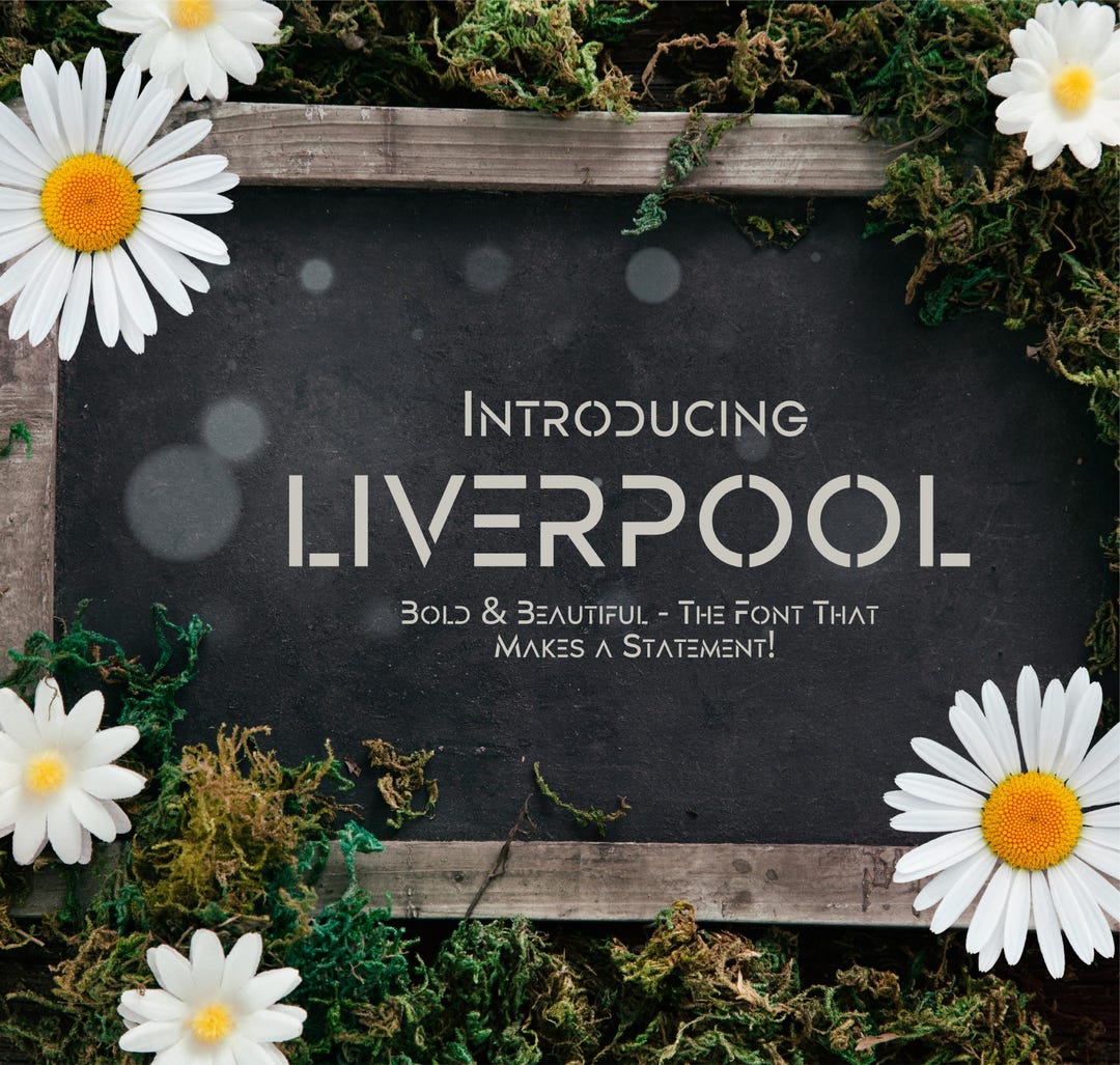 Font Bundle - Cute Fonts, Fonts for Cricut, Cricut Font Bundle, Script ...