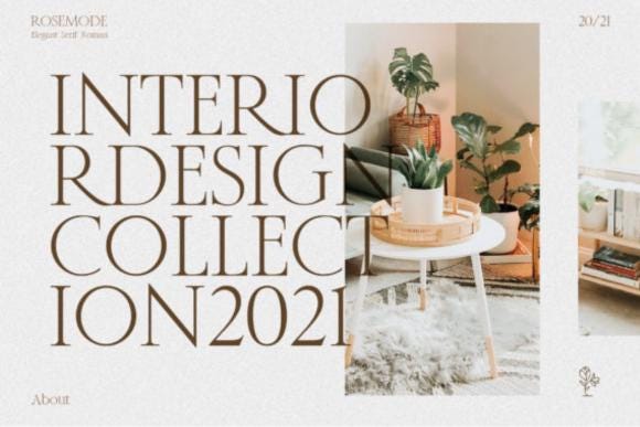 Roman Editorial and Aesthetic Script Font | Modern Font Pair | Modern ...