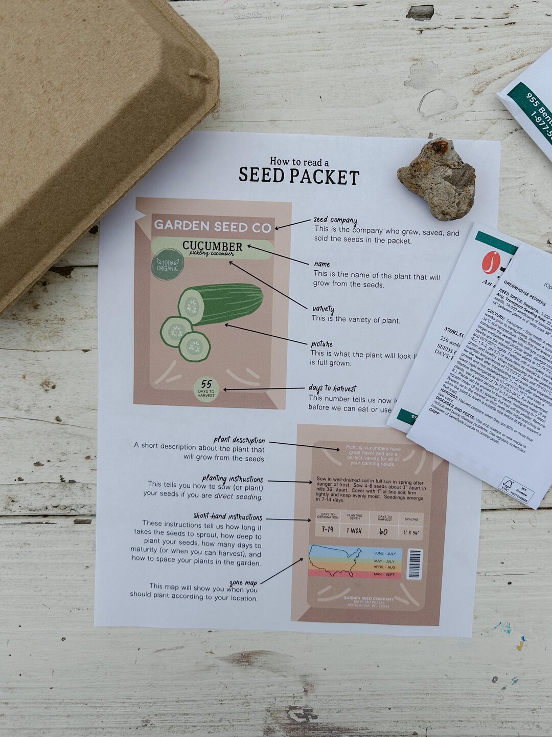 Seed to Seedling Nature Booklet - Gardening Curriculum - Homeschool ...