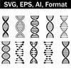 Dna Strand SVG Bundle, Dna Strand Png, Genes Clipart, Helix Dxf, Dna ...
