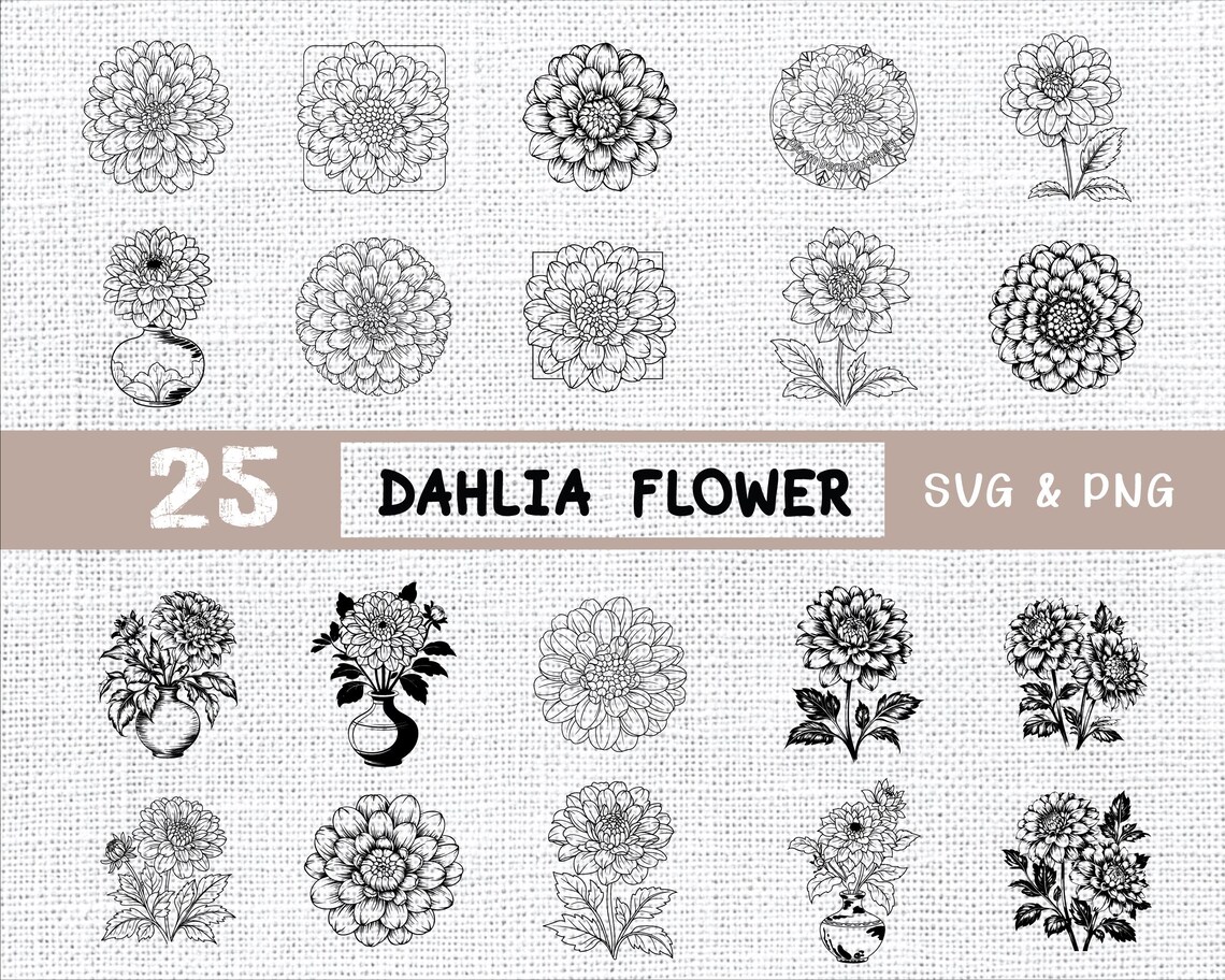25 Dahlia Flower SVG Bundle | Botanical Flower Clipart | Dahlia PNG ...