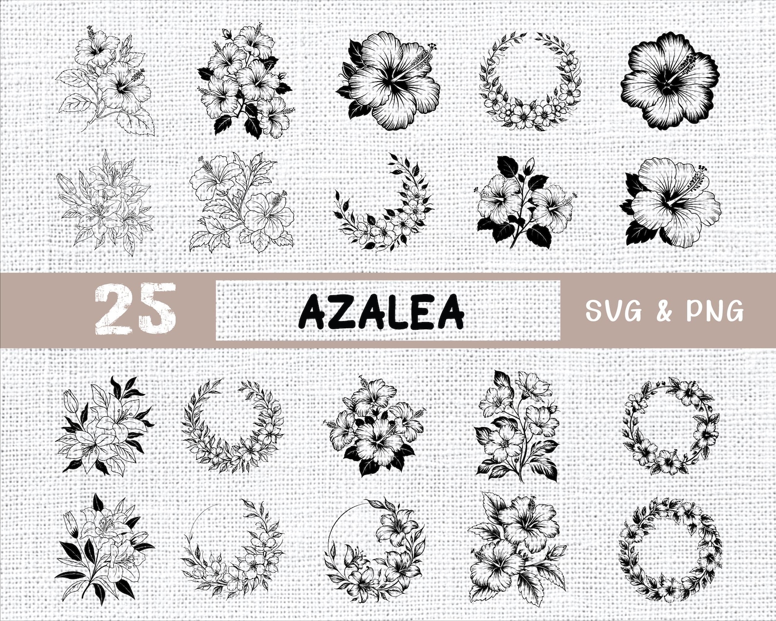 Azalea Flower Clipart Bundle: Hand-drawn Floral SVG & PNG (digital ...