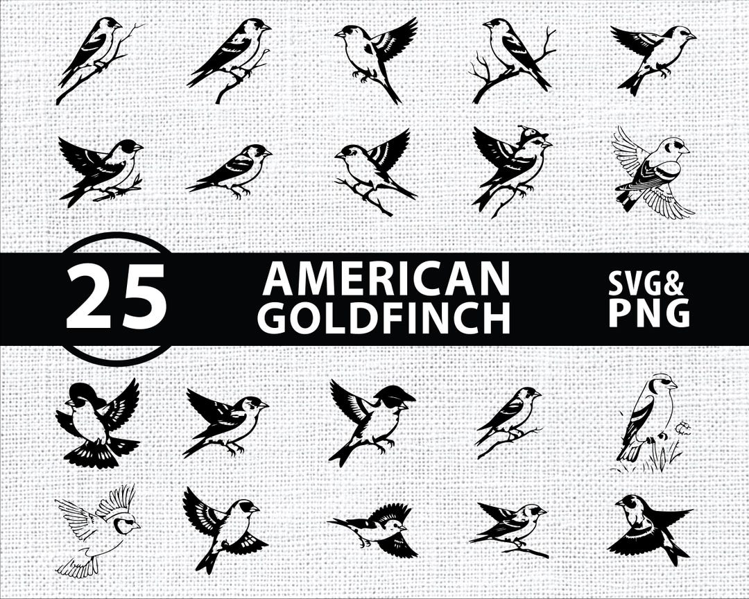 25 American Goldfinch SVG PNG Bundle | Bird Clipart for Cricut ...