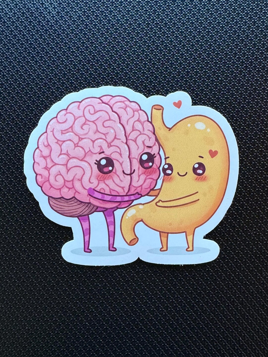 Cute Brain Gut Connection Vinyl Sticker Die Cut Sticker Funny - Etsy