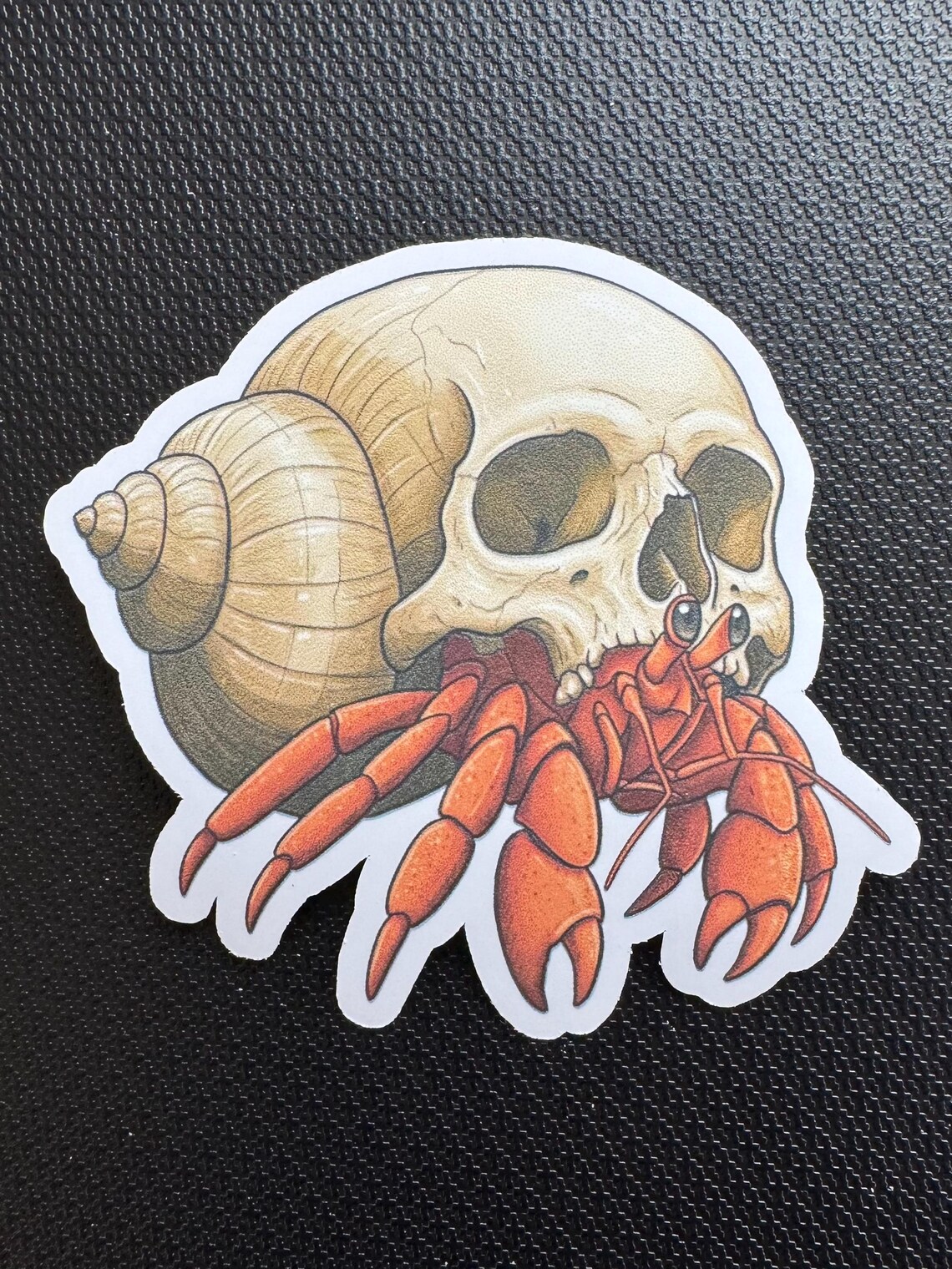Hermit Crab in A Skull Shell Cute Animal Vinyl Sticker Die Cut Sticker ...