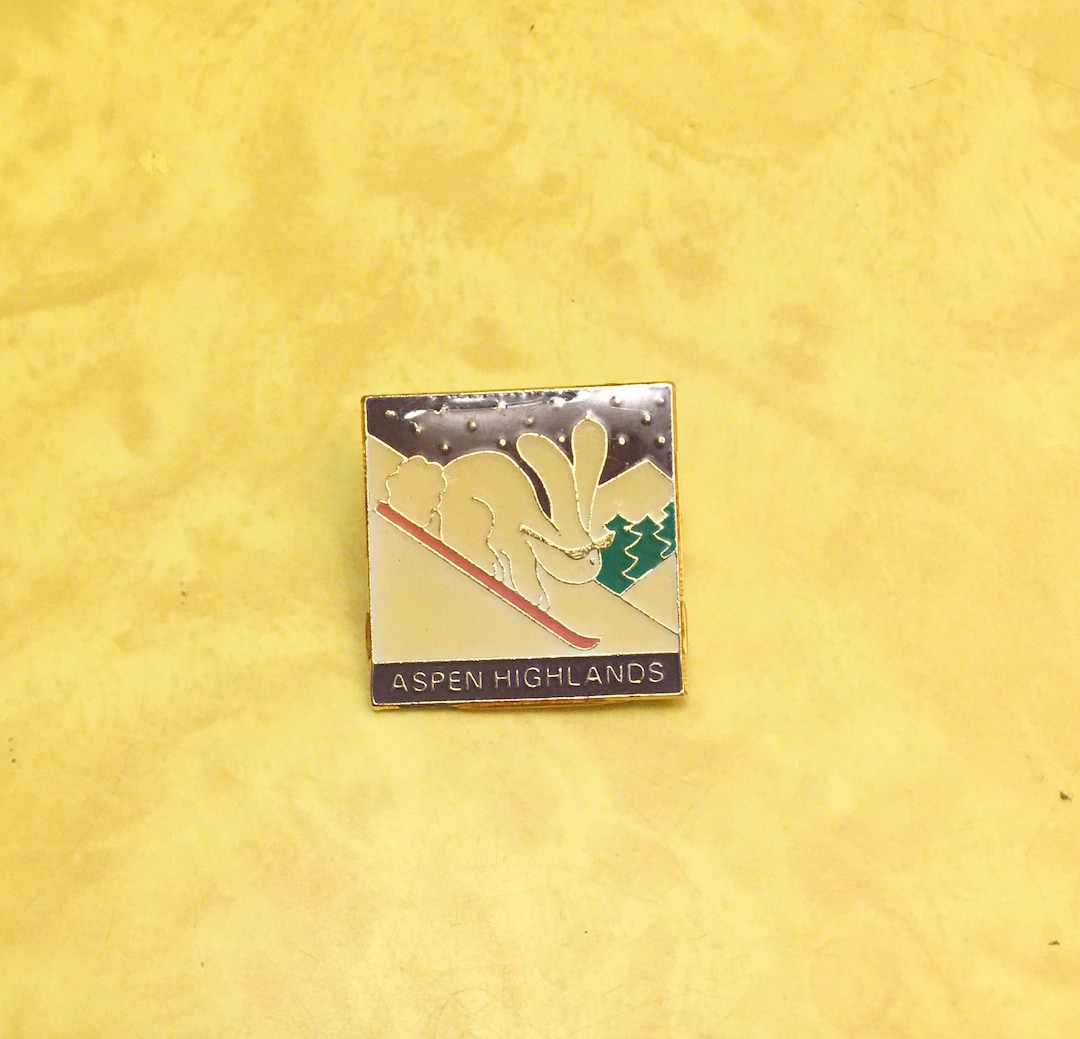80s Aspen Colorado Snow Bunny Pin Brooch FREE SHIPPING - Etsy