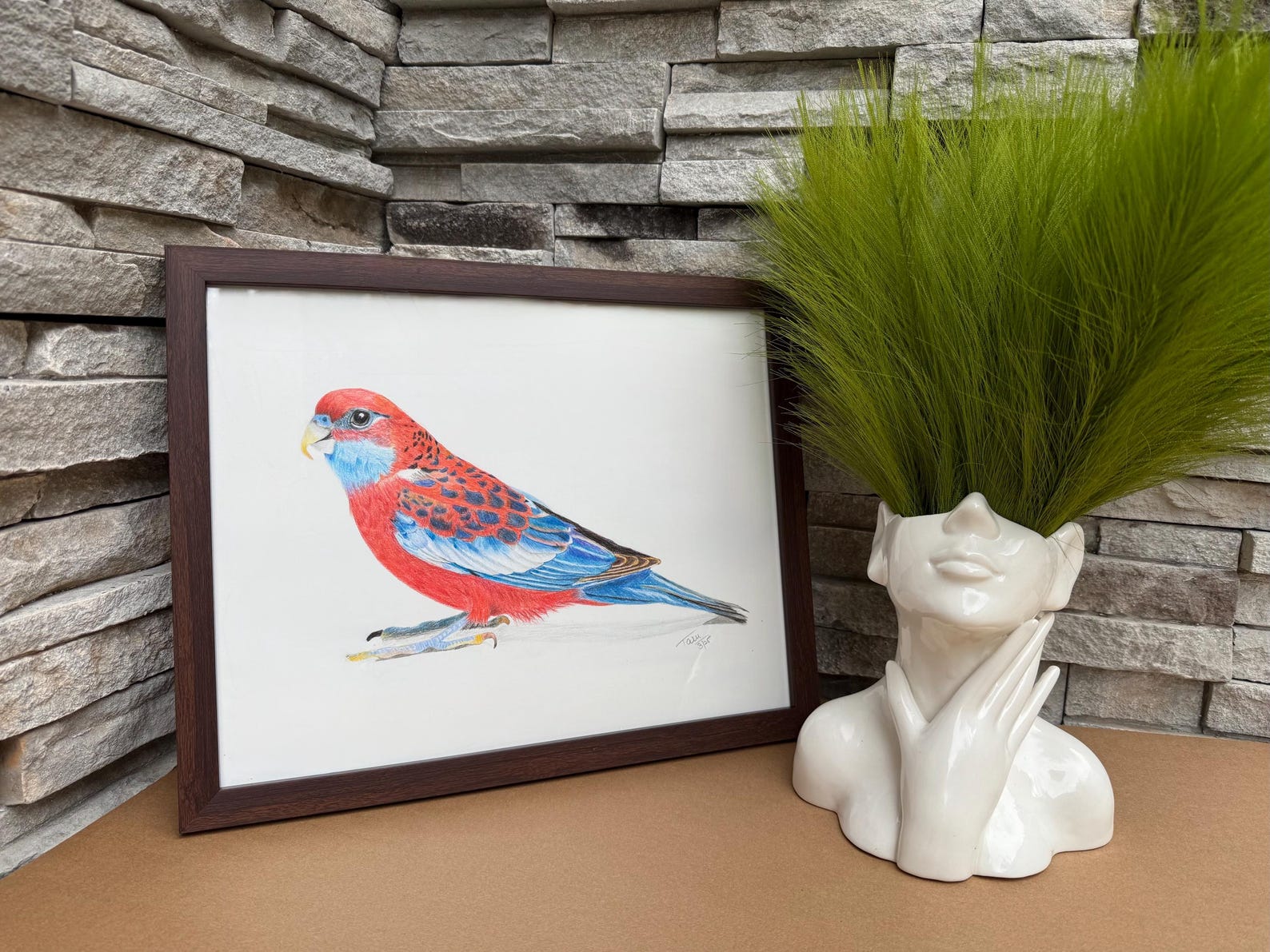 Crimson Rosella Bird Art: Realistic Color Pencil Drawing (14x11) - Etsy