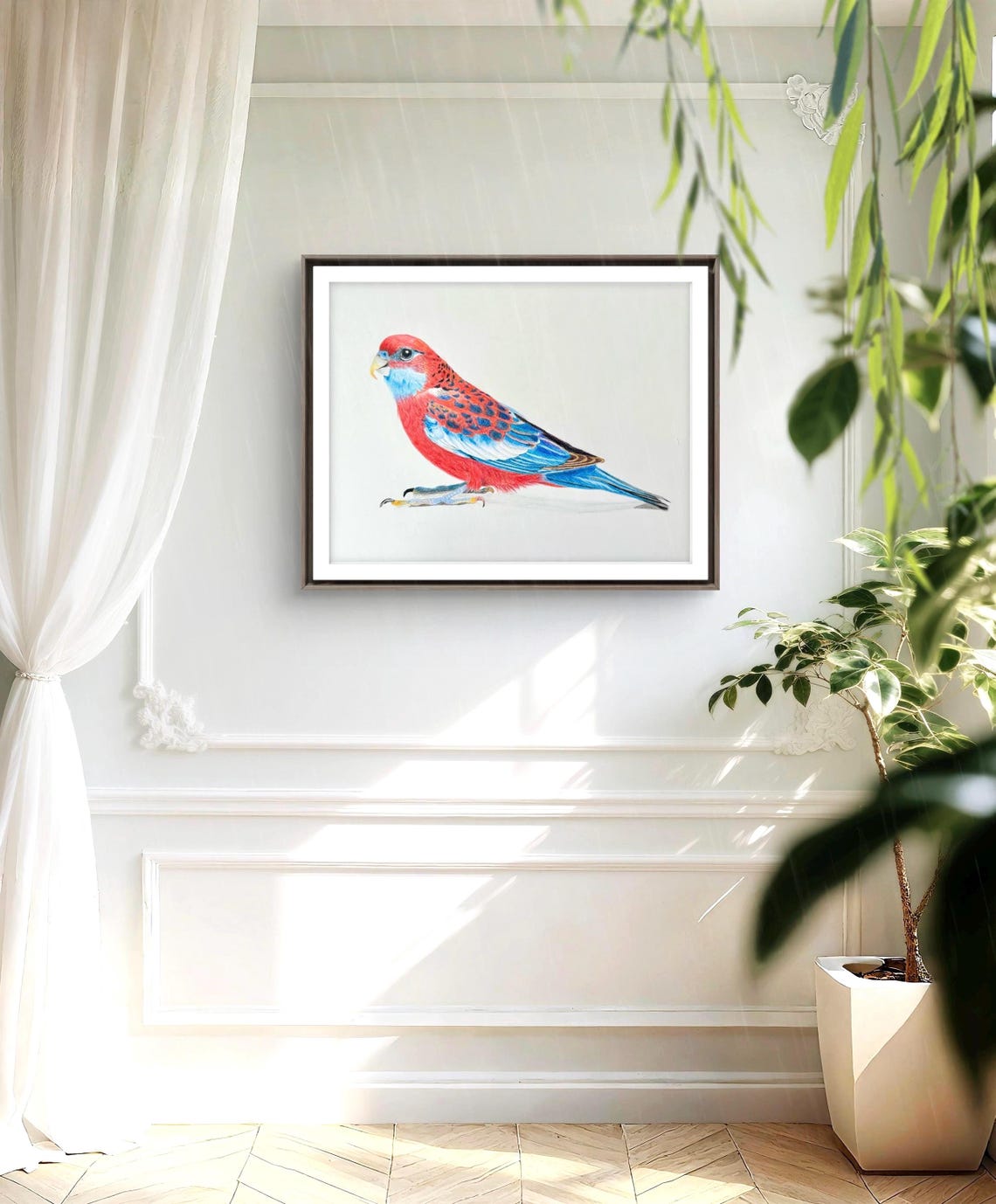 Crimson Rosella Bird Art: Realistic Color Pencil Drawing (14x11) - Etsy