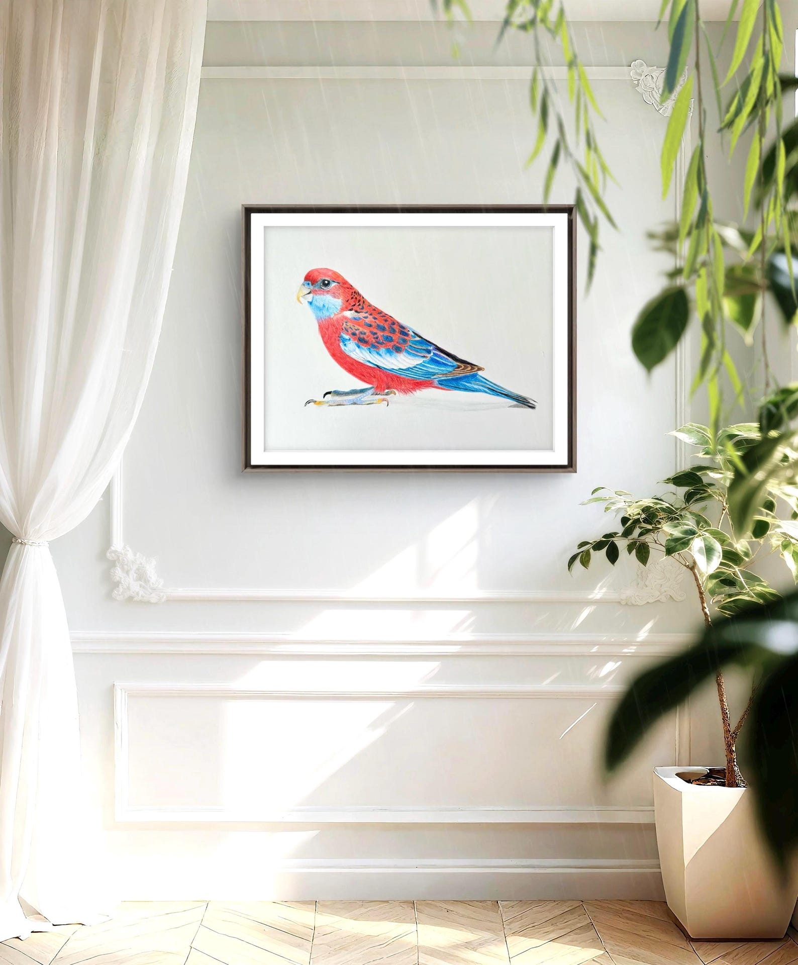Crimson Rosella Bird Art: Realistic Color Pencil Drawing (14x11) - Etsy
