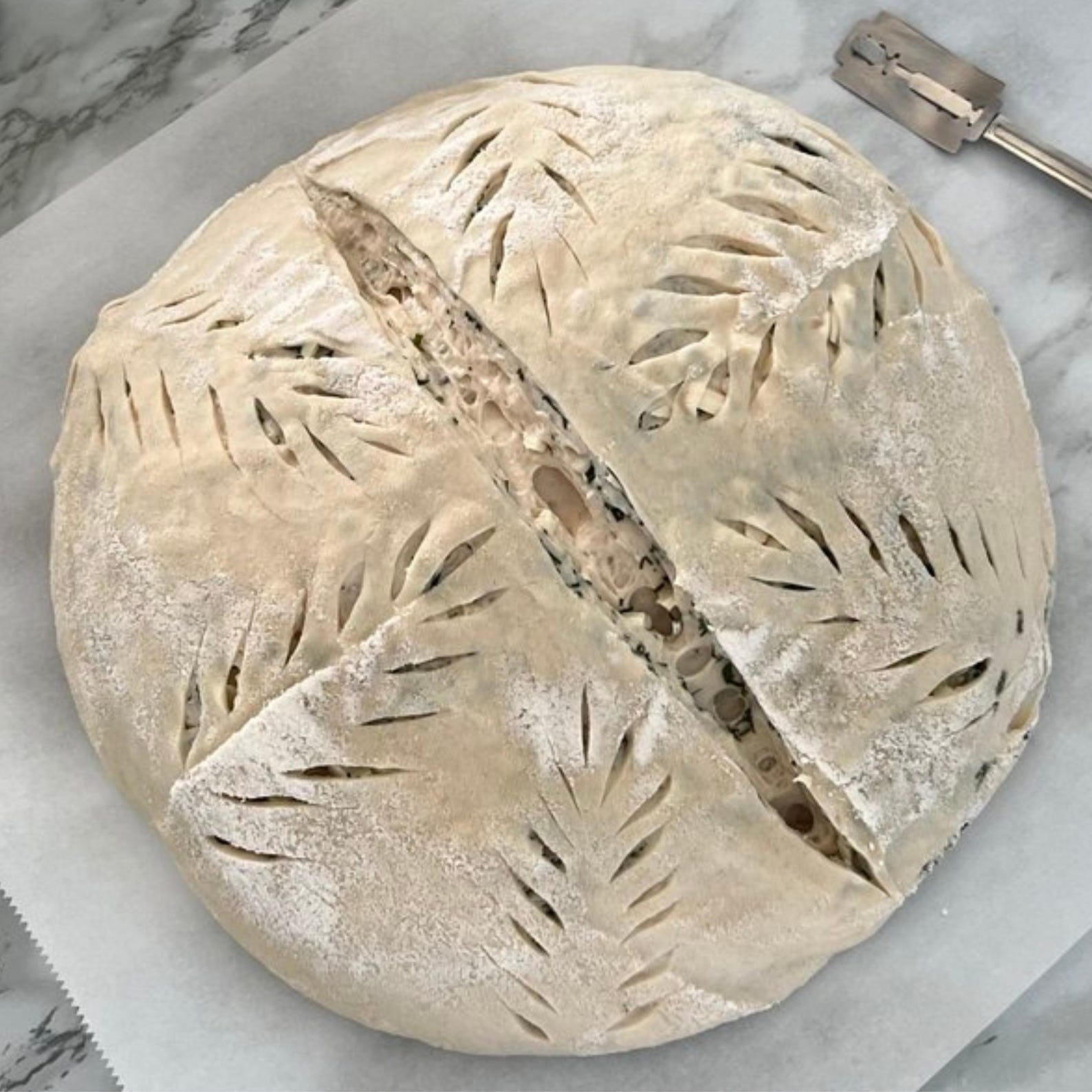 Sourdough Starters, Dehydrated Starter, Sourdough Dried Starter, Super ...