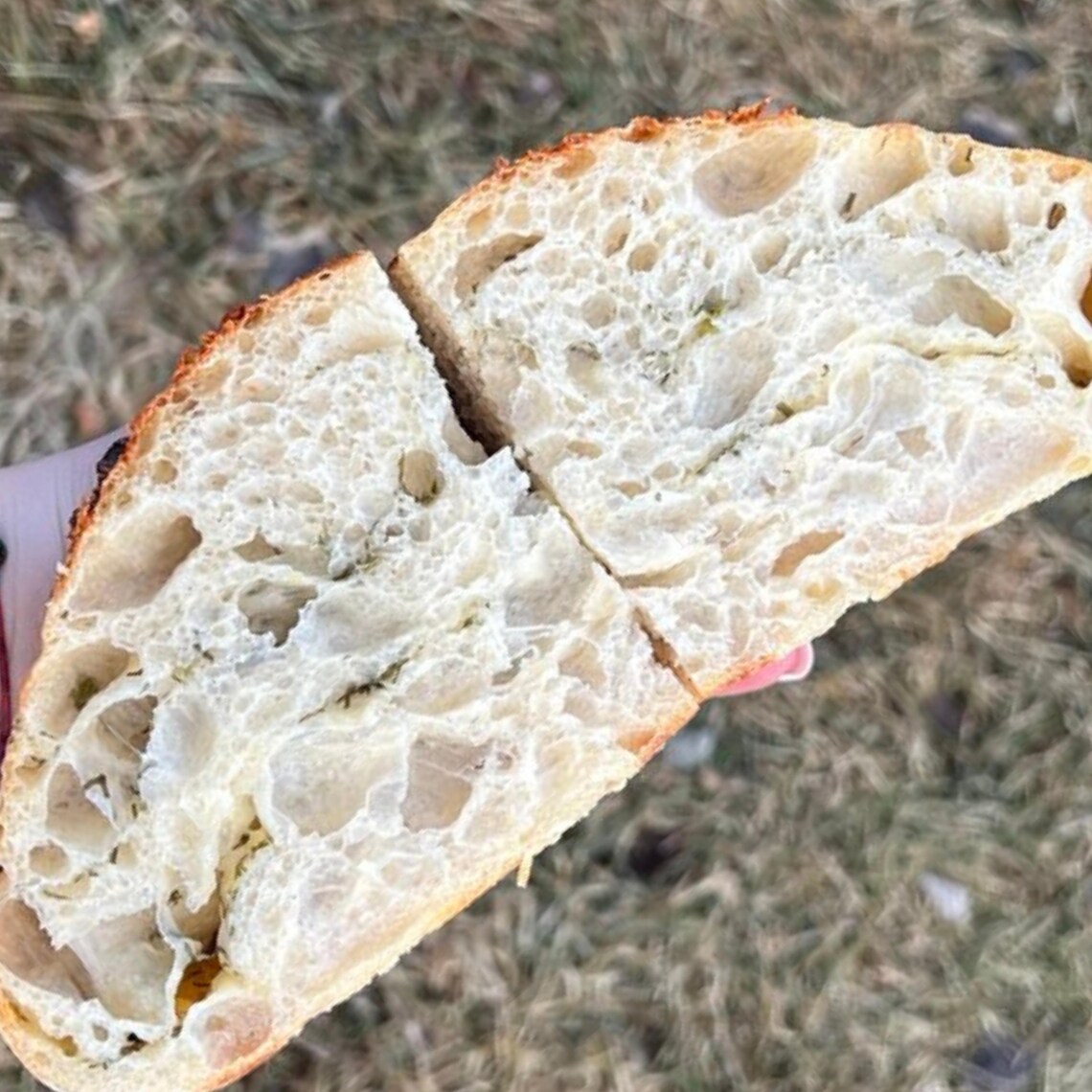 Sourdough Starters, Dehydrated Starter, Sourdough Dried Starter, Super ...
