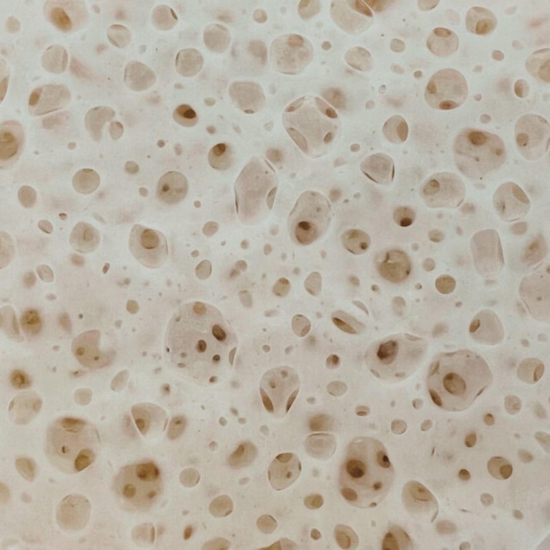 Sourdough Starters, Dehydrated Starter, Sourdough Dried Starter, Super ...