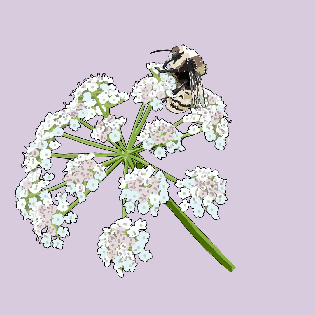 Hemlock & Bumble Bee Sticker - Etsy