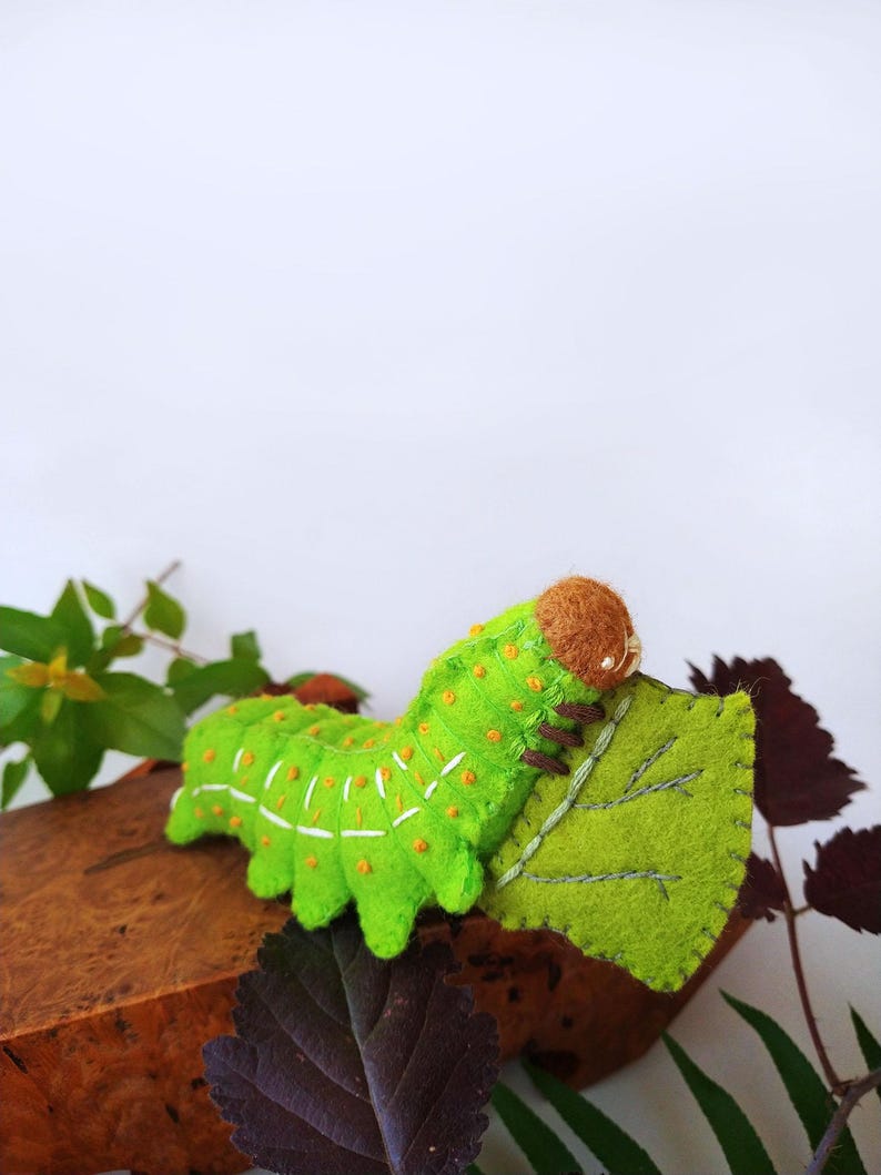 Felt Caterpillar: Luna Moth Caterpillar - PDF Tutorial and Pattern ...