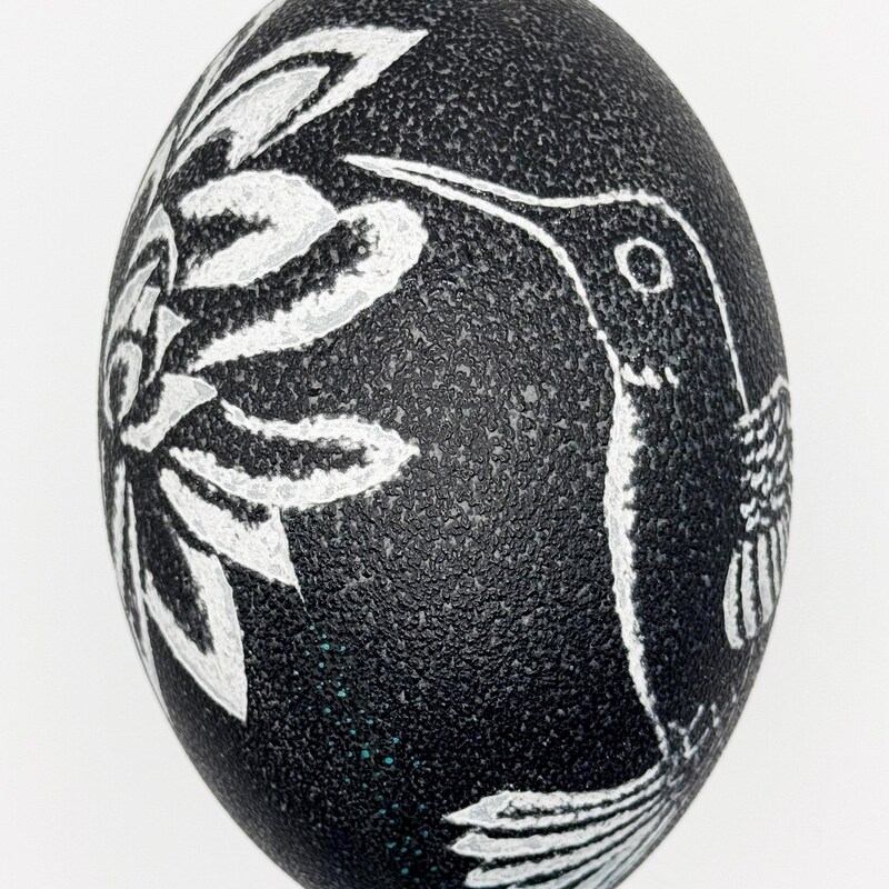 Emu Egg - Etsy