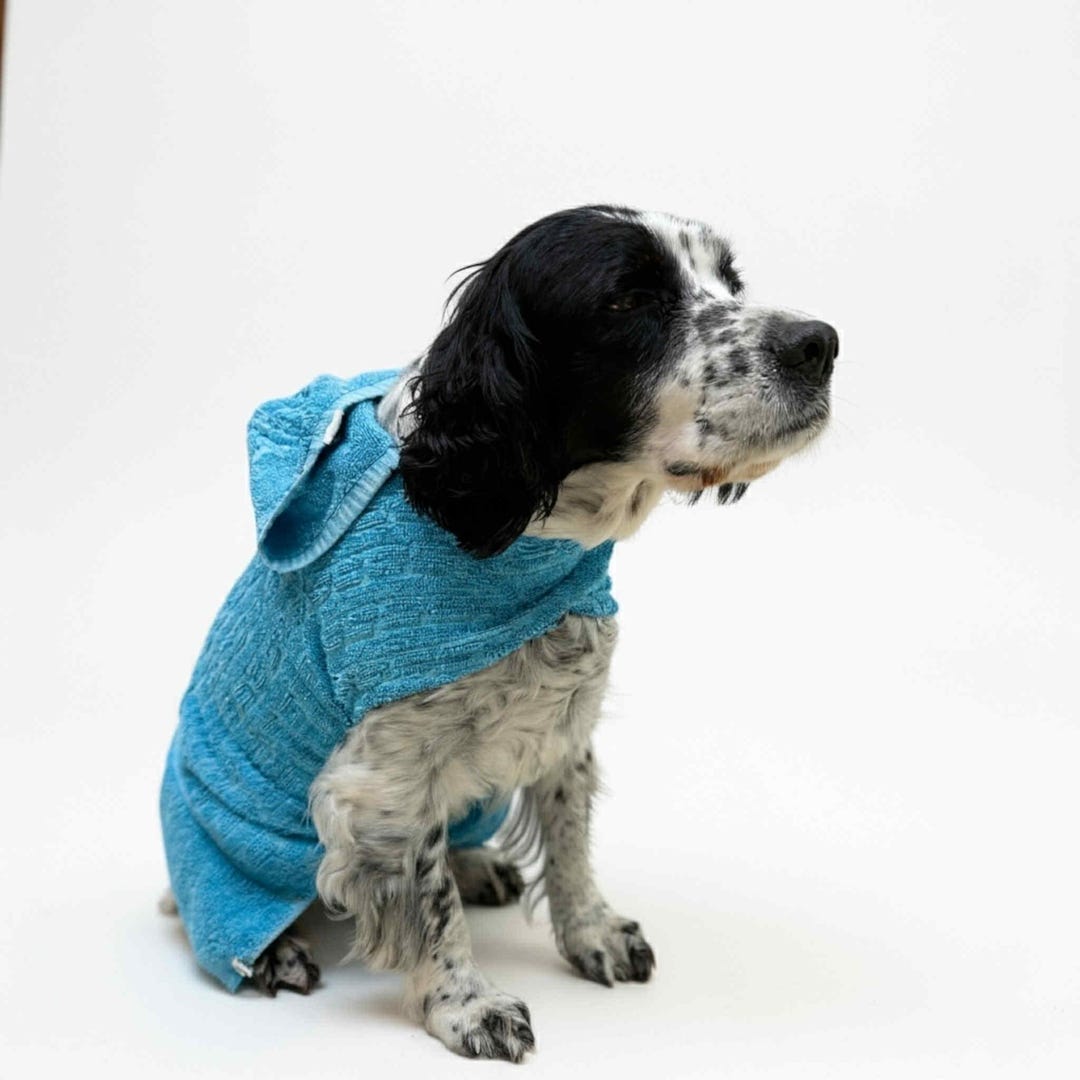 Retro Towelling Dog Jacket - Made From Vintage Towels - Eco-friendly ...