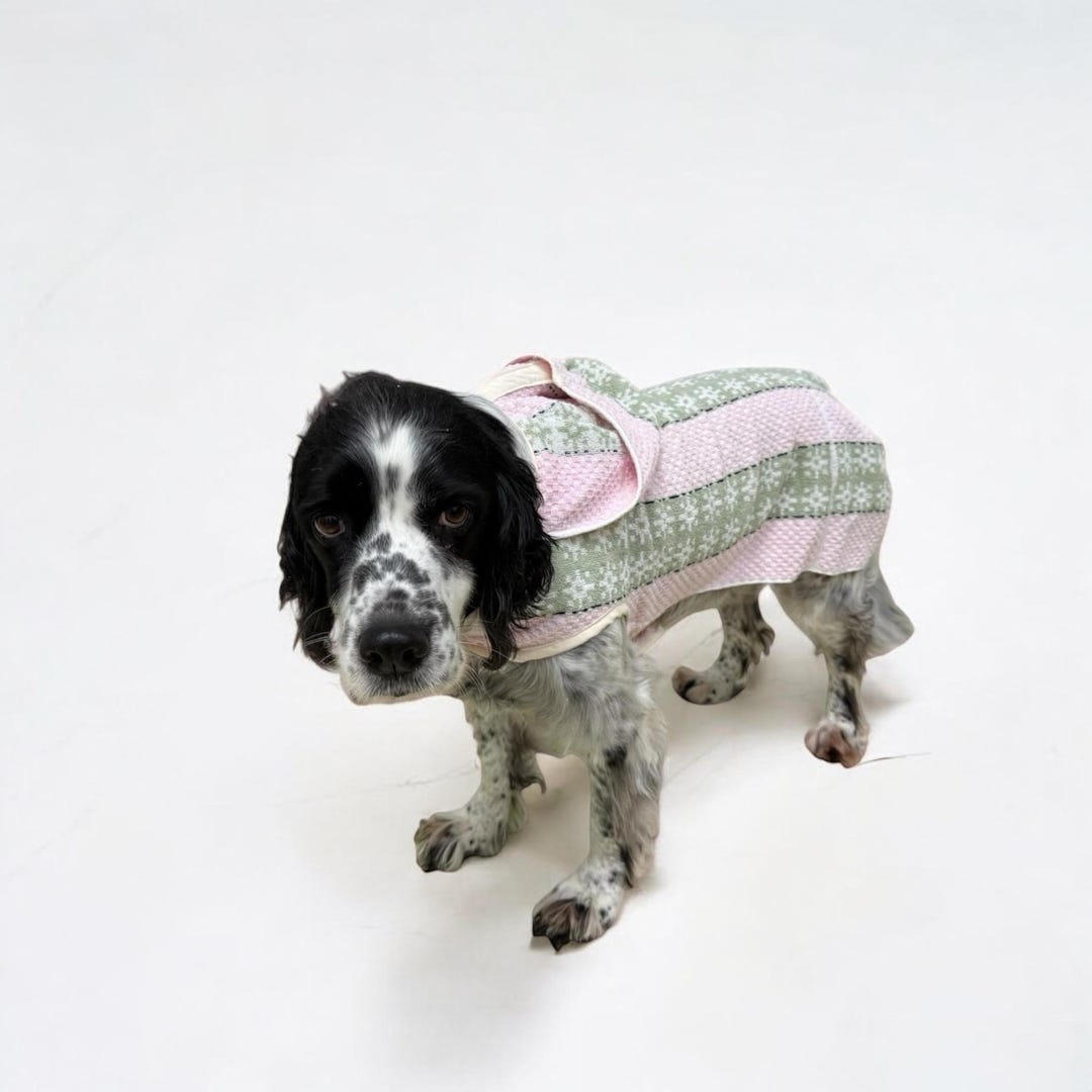 Retro Towelling Dog Jacket - Made From Vintage Towels - Eco-friendly ...