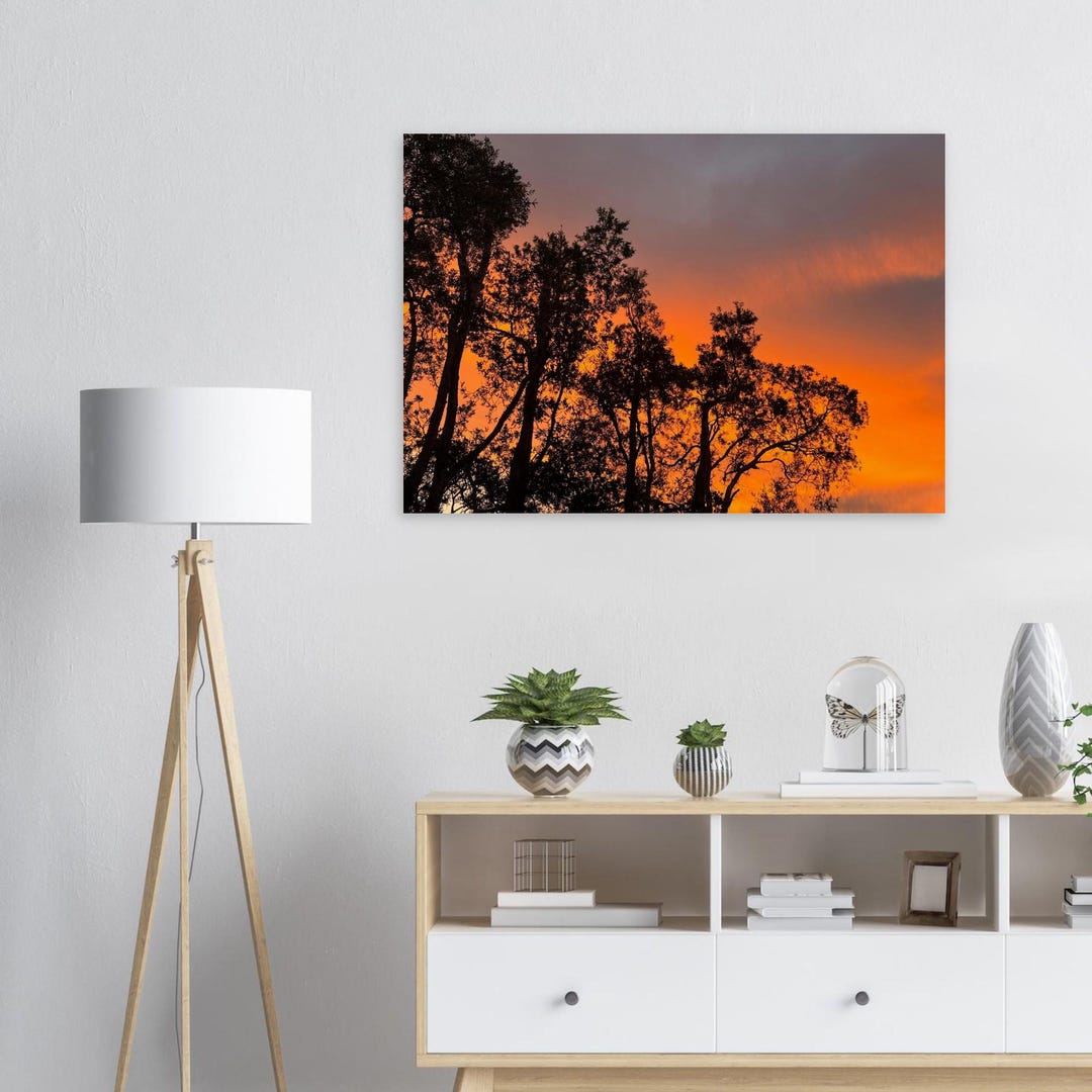 Setting Sun Colors the Sydney Sky | Museum Quality Poster Print ...