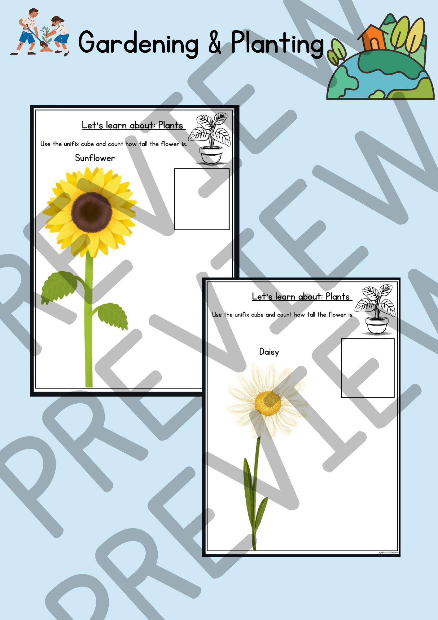 Numeracy | Counting Template | Flower Counting | Plant Counting ...