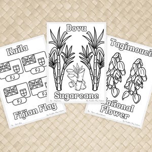 Printable Fijian Culture Colouring Book: Learn Fijian (30 Pages ...