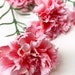 1 Stem Pink Candy Carnation/single Silk Carnation/silk Carnation/candy ...