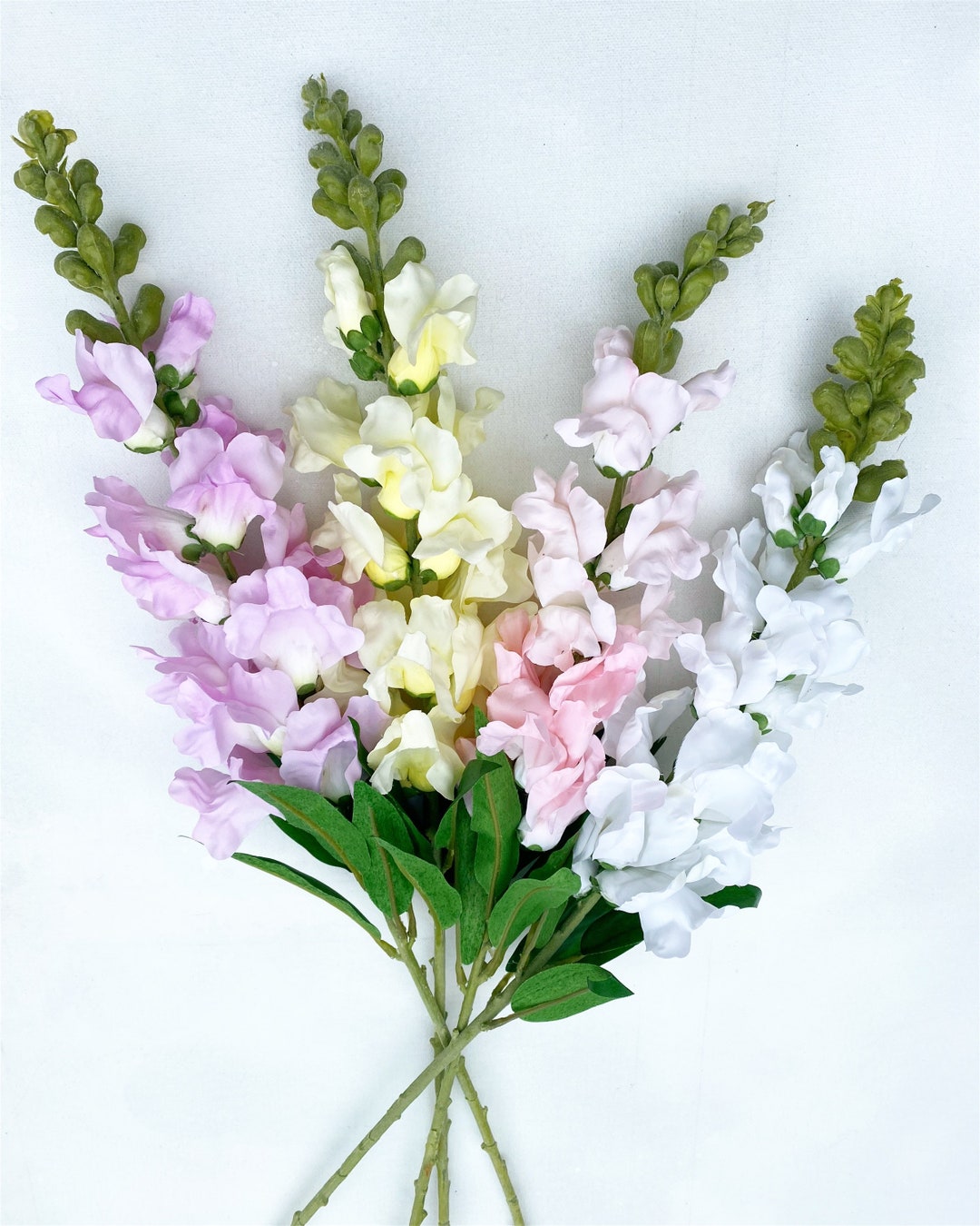 1 Stem of Snapdragon/sorbet Flowers/white Snapdragon/pink Snapdragon ...