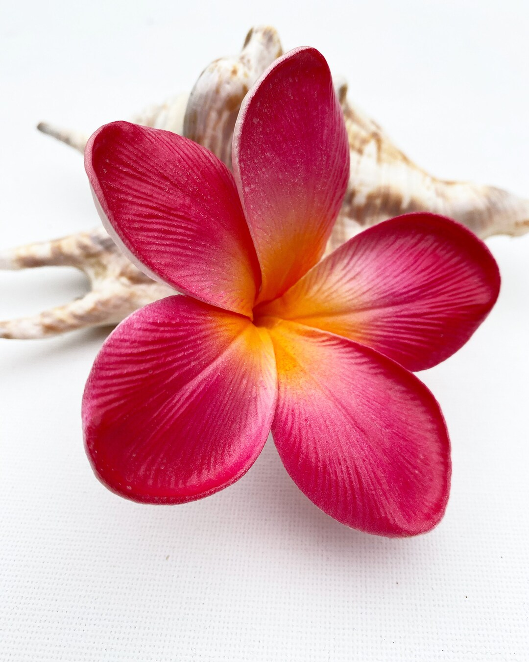 1 Stem of Pink Red Orange Plumeria/latex Frangipani/hawaiian Hair ...