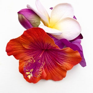 Spanish Dancer Hibiscus Hair Clip/orange Magenta Pink Hibiscus Hair ...