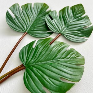 Safari Leaf/mini Cake Leaf/green Leaf/tropical Leaf/mini - Etsy