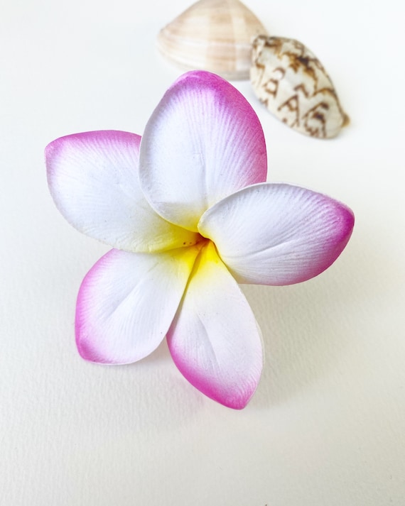 Single Pink Plumeria